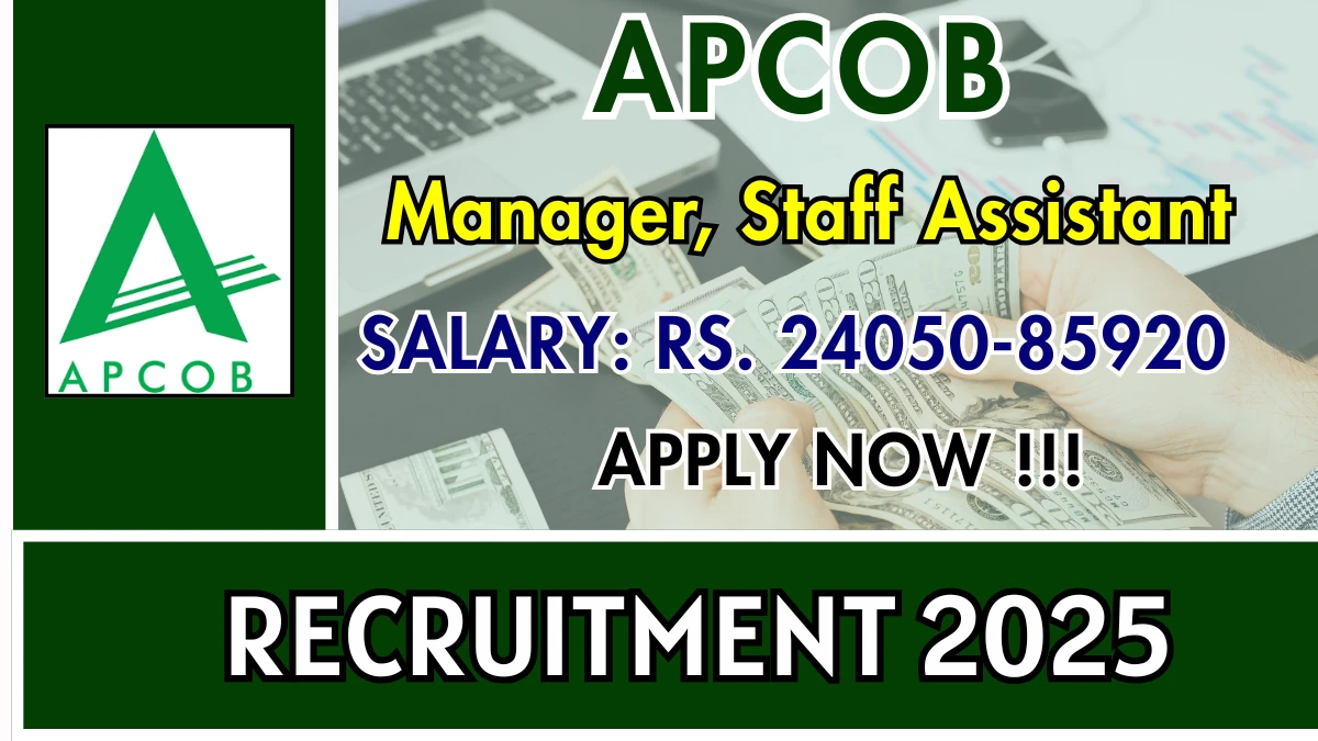 APCOB Recruitment 2025 – Apply Online for 38 Manager, Staff Assistant ...